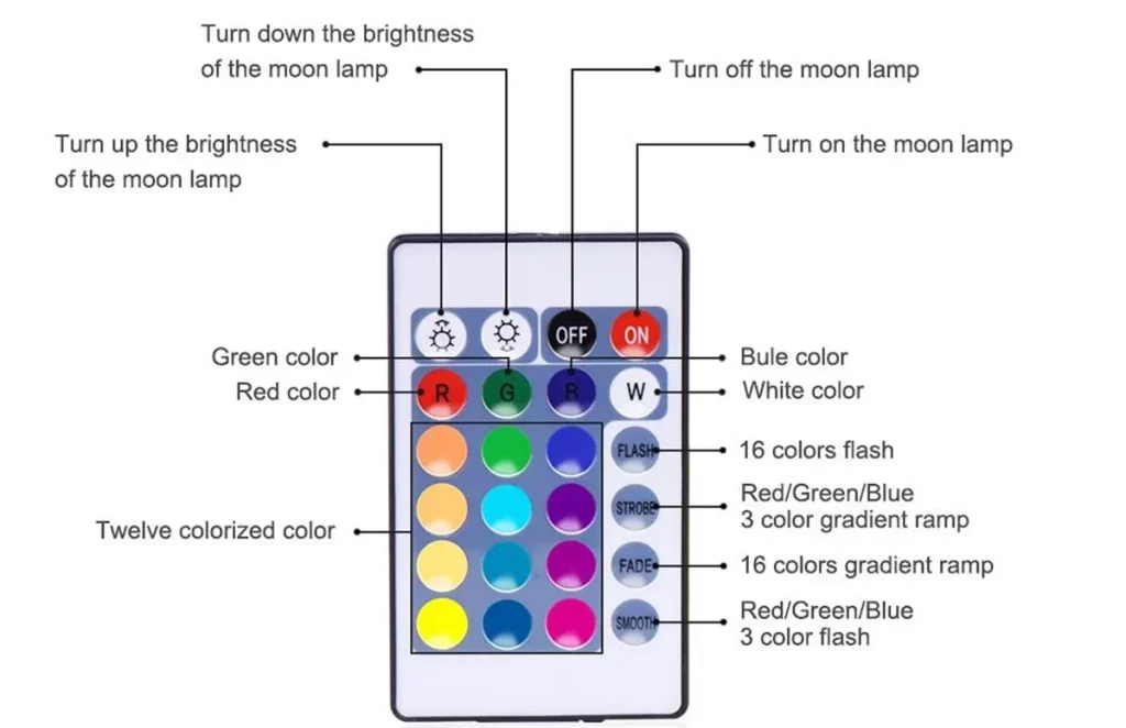 Inflatable Dolphin Arch - Hello Inflatables